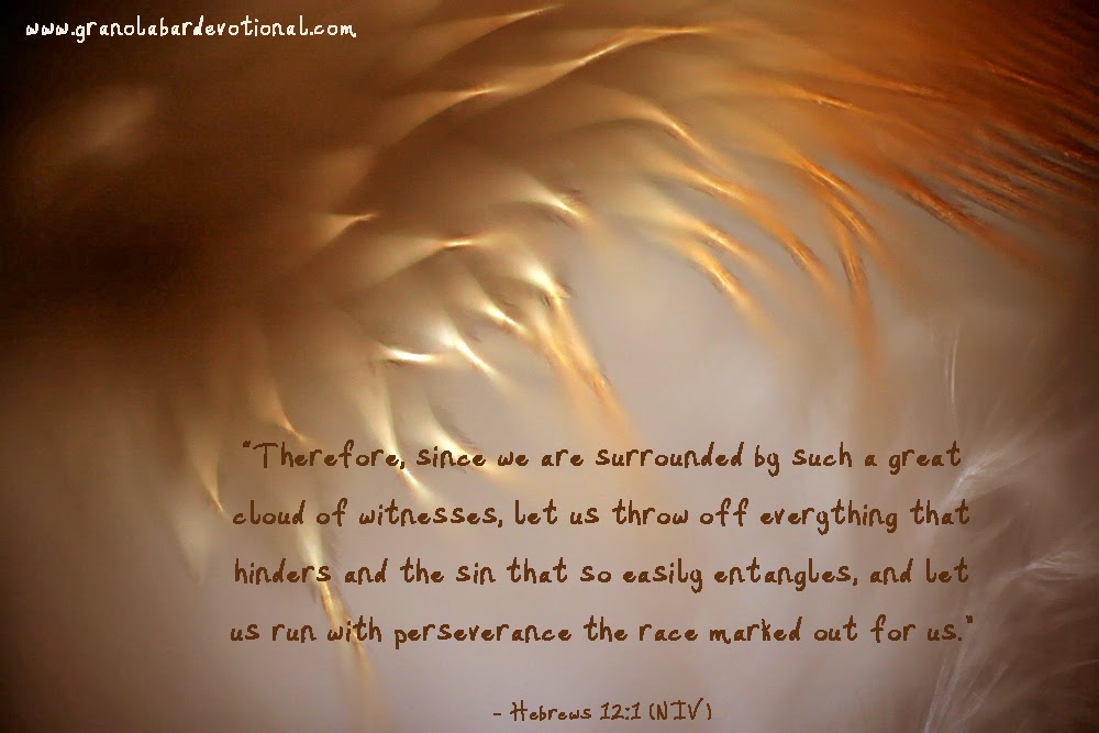 God Winks - enLIVEn Devotionals